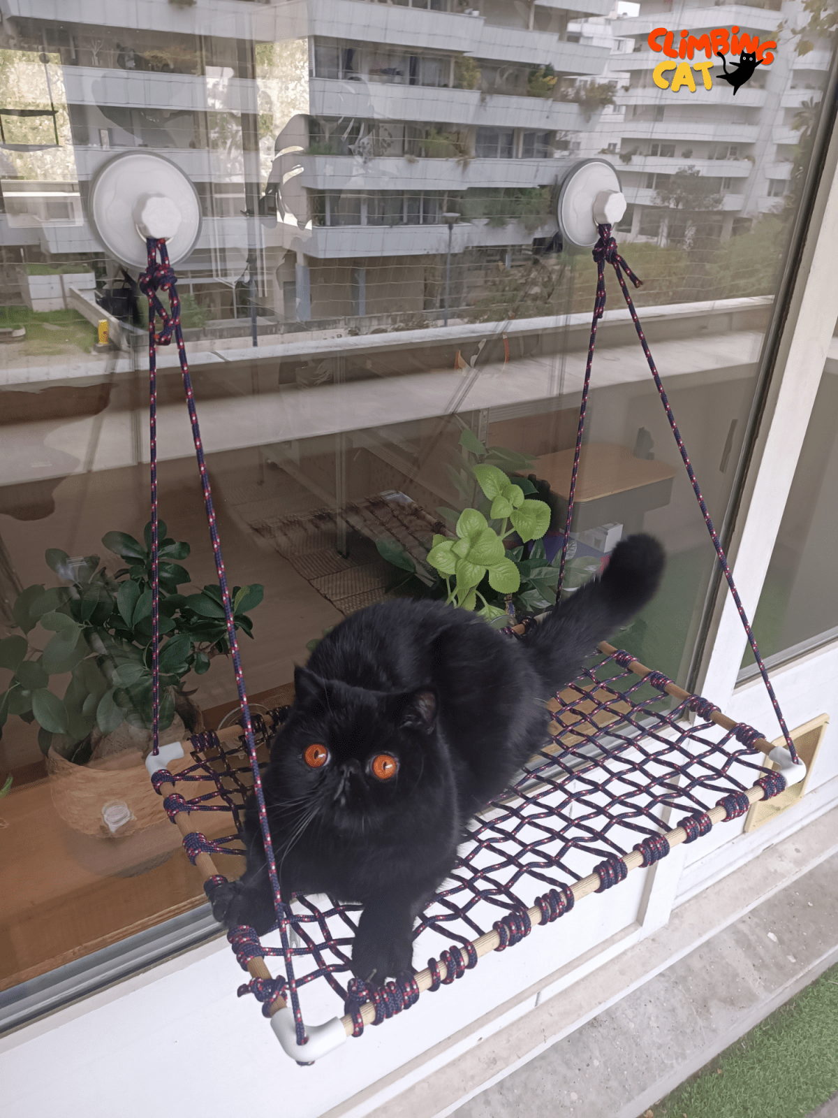 Filet de protection pour chat sans percer | Fenêtres et balcons ...